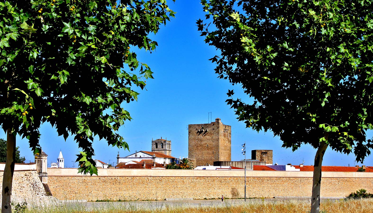 LA CIUDAD – Ayuntamiento de Olivenza