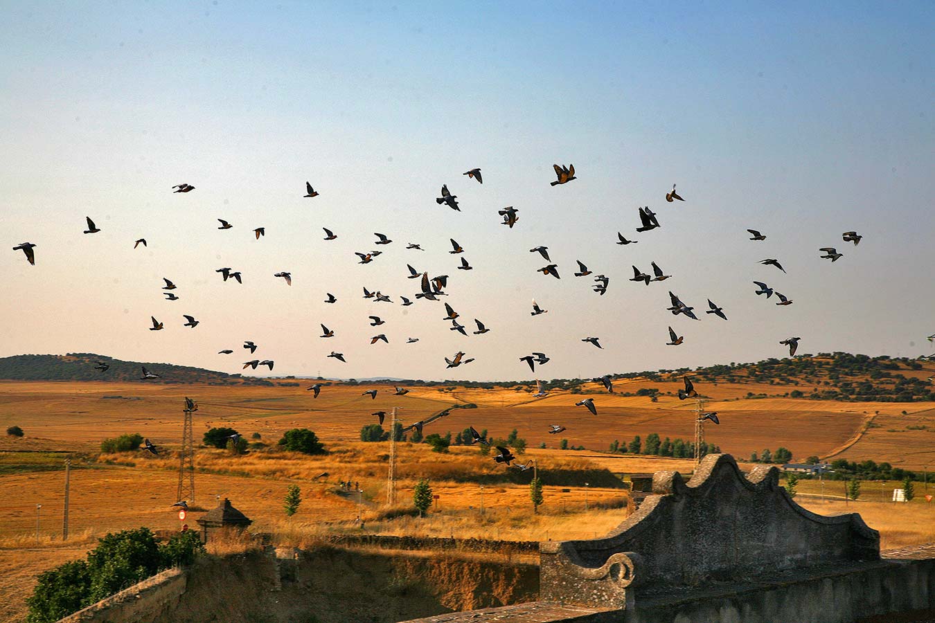 LA CIUDAD – Ayuntamiento de Olivenza